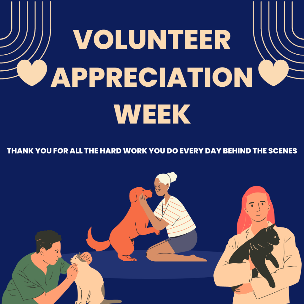 National Volunteer Week! - Lakefield Animal Welfare Society Lakefield ...